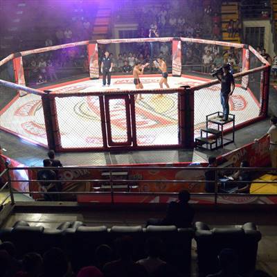 MMA Fighter Channels 'The Sound of Music' with Wild Spinning Punche...