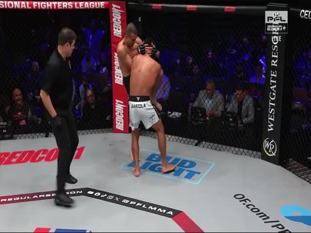 Adam Borics vs. Enrique Barzola Full Fight PFL 3 2024 Part 3 MMA Video